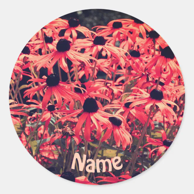 Pink Black Eyed Susan Flowers Personalised Classic Round Sticker | Zazzle