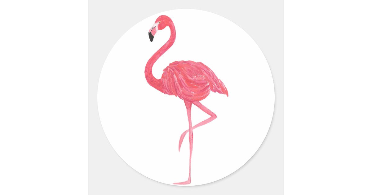Pink Flamingo Tropical Stickers | Zazzle