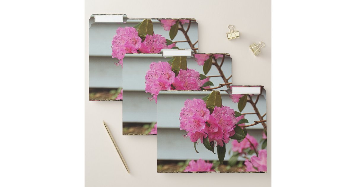 Pink flower file folders | Zazzle