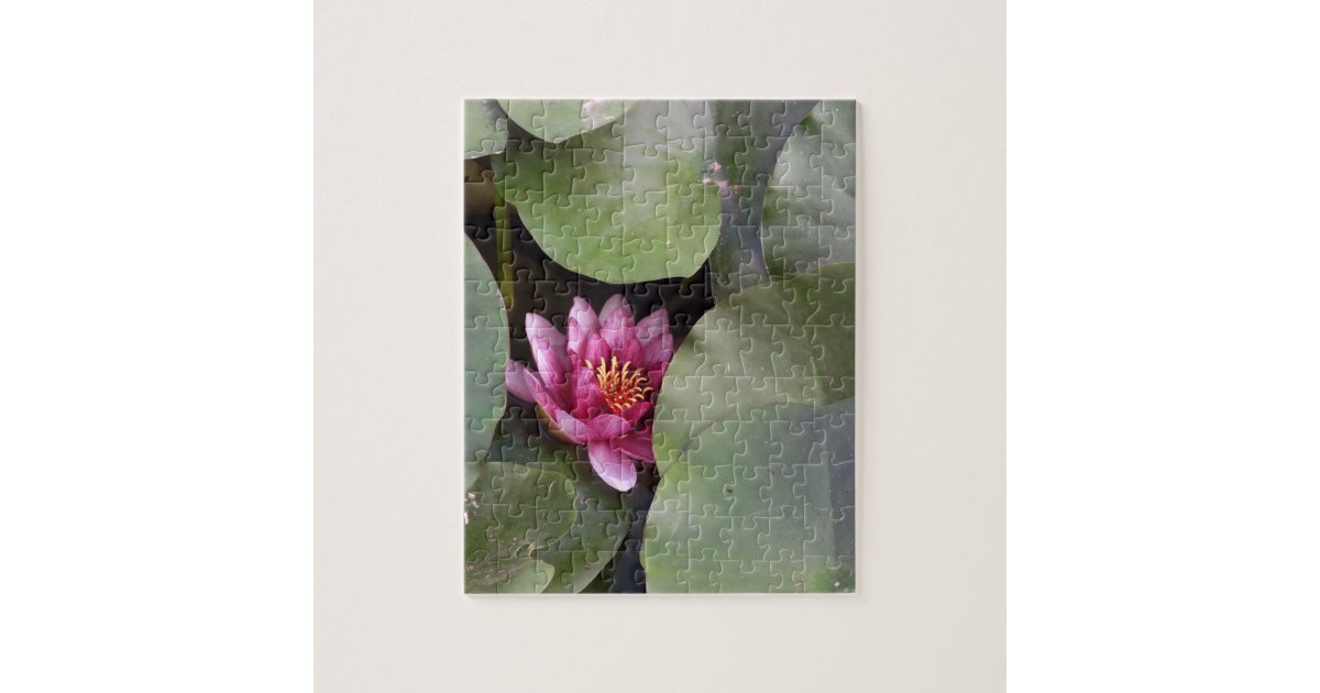 Pink Lotus Flower Photo Puzzle with Gift Box | Zazzle