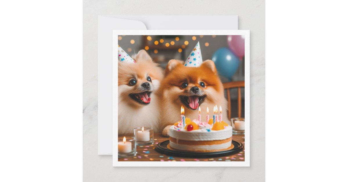 Pomeranian birthday card, Pomeranian, Pomeranian Invitation | Zazzle
