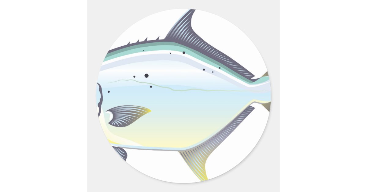 Pompano Florida fish vector illustration Classic Round Sticker | Zazzle