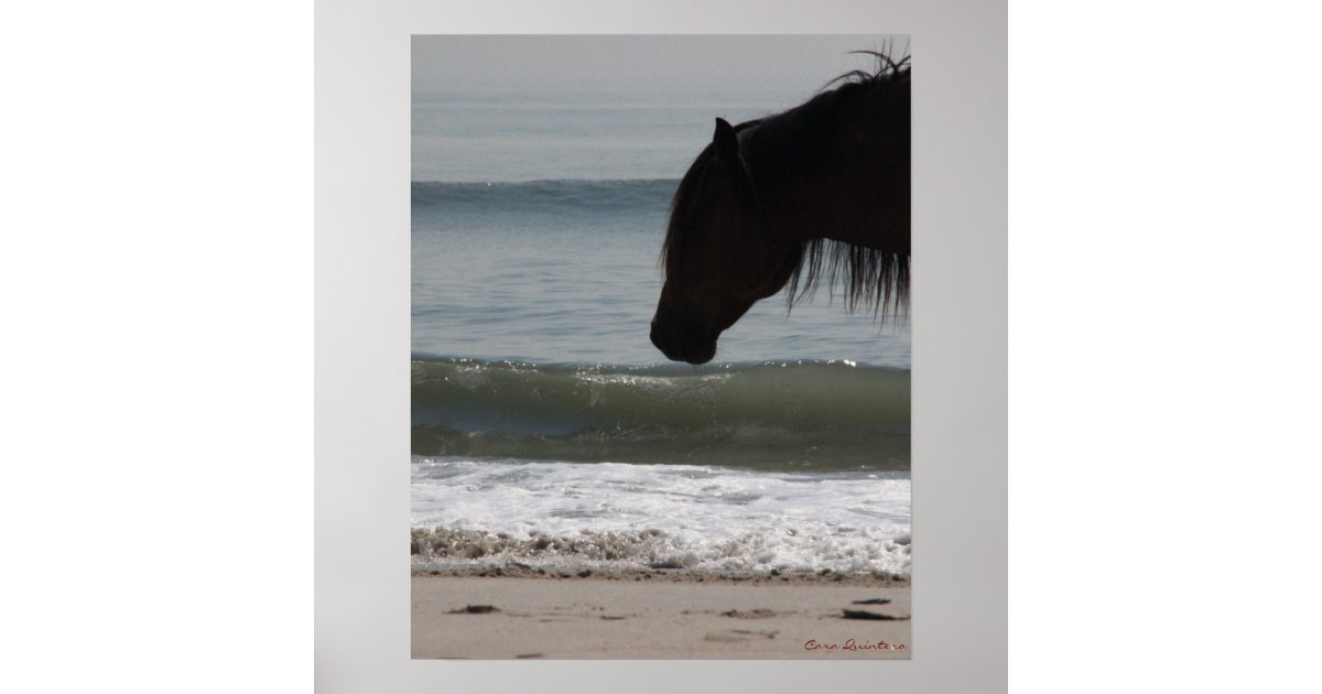 Pony On The Beach Poster | Zazzle