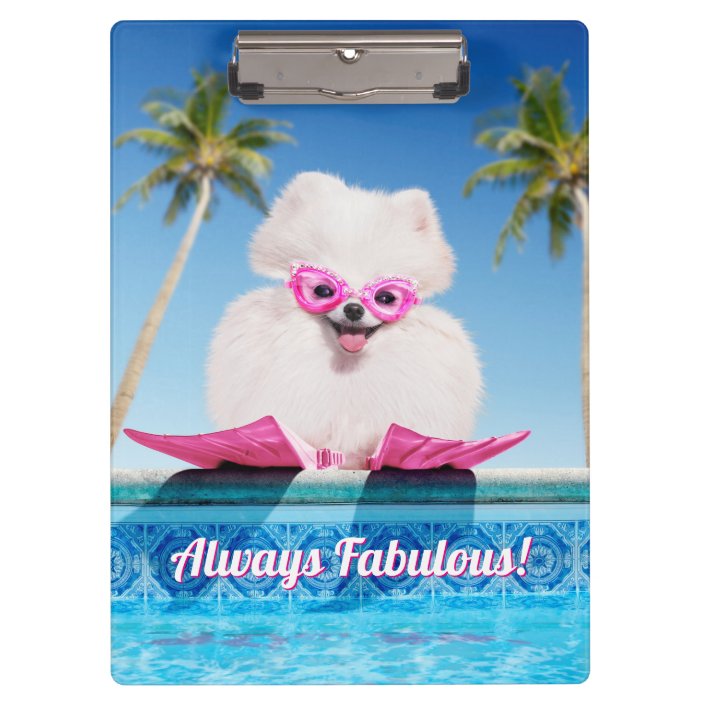 Poolside Dog In Flippers Clipboard | Zazzle.co.uk