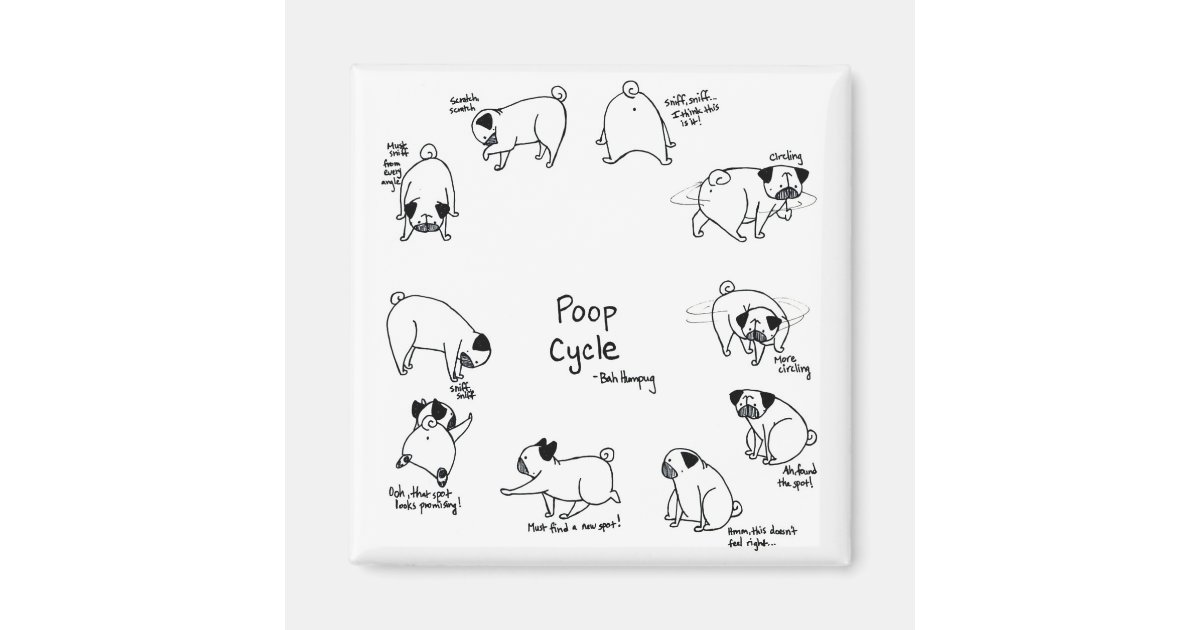Poop Cycle Magnet | Zazzle