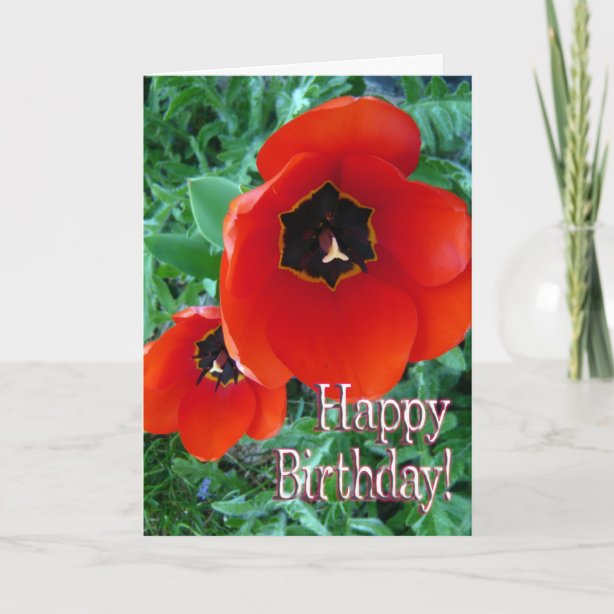 Poppy Cards | Zazzle UK