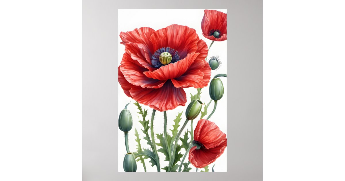 Poppy Flowers Poster - Floral Blossom Wall Art | Zazzle