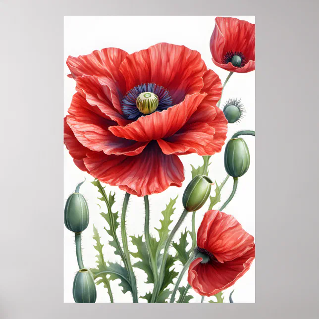 Poppy Flowers Poster - Floral Blossom Wall Art | Zazzle