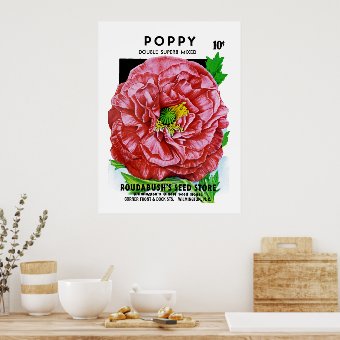 Poppy Vintage Seed Packet Poster | Zazzle