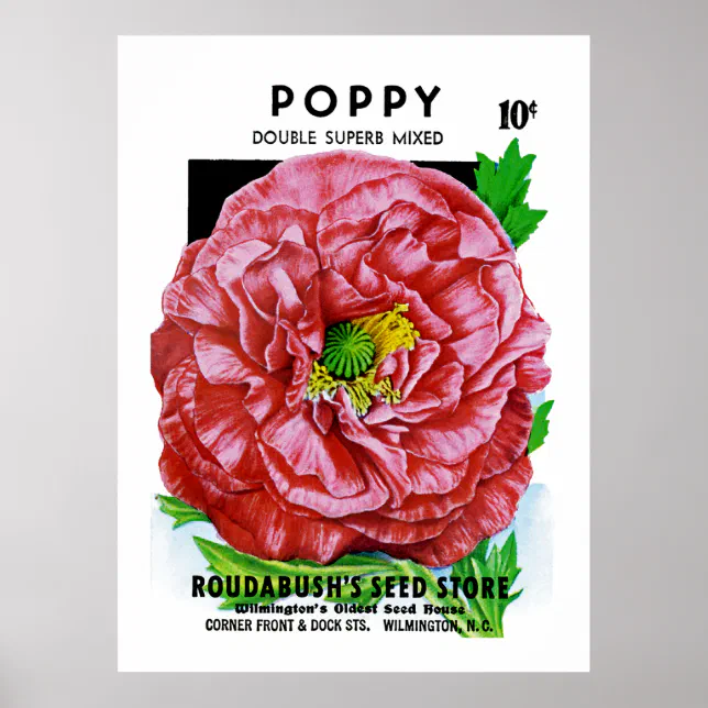 Poppy Vintage Seed Packet Poster | Zazzle