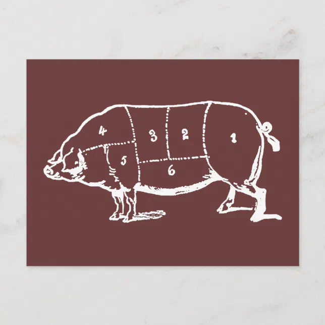 Pork (PIG) Butchers Chart - Bacon Postcard | Zazzle