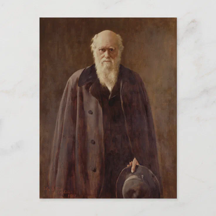 Portrait of Charles Darwin 1883 Postcard | Zazzle