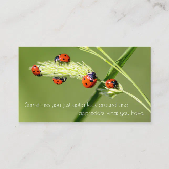 Positive motivational quote with little ladybugs business card | Zazzle