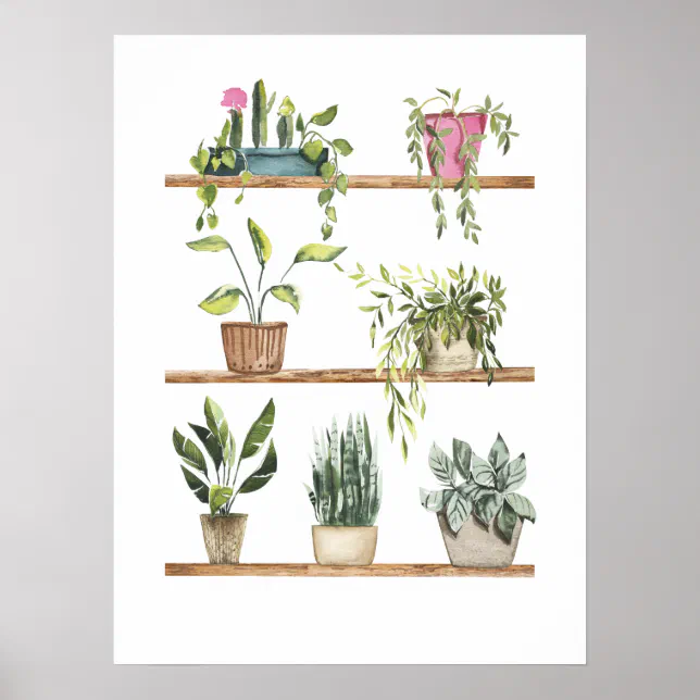 Potted plants display poster | Zazzle