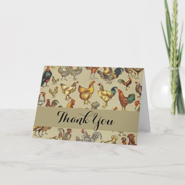 Chicken Thank You Cards | Zazzle UK