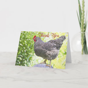 Chicken Thank You Cards | Zazzle UK
