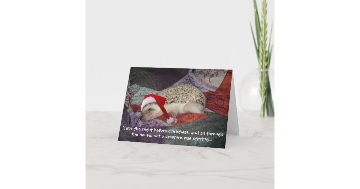 Prissy Christmas Card 2006 | Zazzle