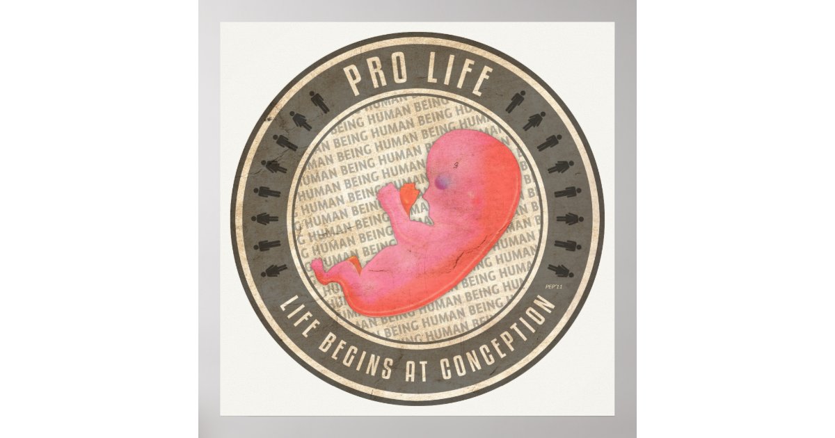 Pro Life Poster | Zazzle