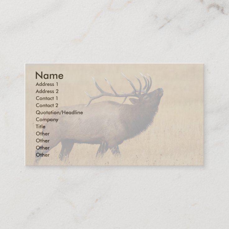 profile or business card, elk business card | Zazzle