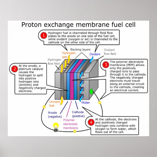 Proton Exchange Membrane Fuel Cell Diagram Poster | Zazzle.co.uk