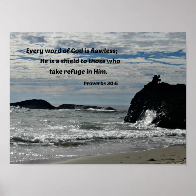 Proverbs 30:5 Every word of God is flawless... Poster | Zazzle