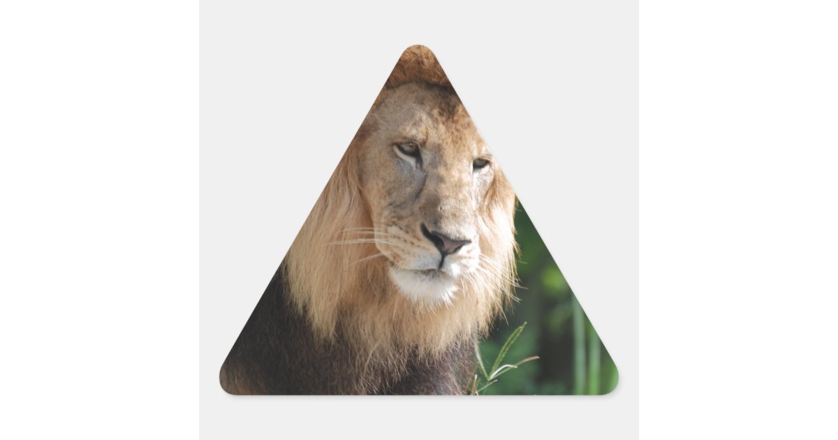 Prowling Lion Triangle Sticker | Zazzle