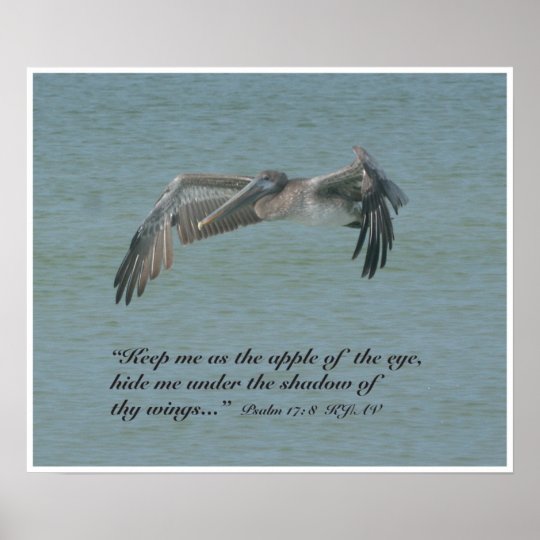Psalm 17:8 Scripture Print, Version B Poster | Zazzle.co.uk