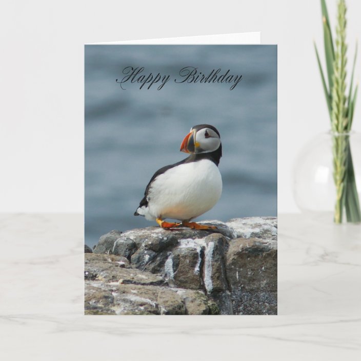 Puffin Birthday Greeting Card | Zazzle.co.uk