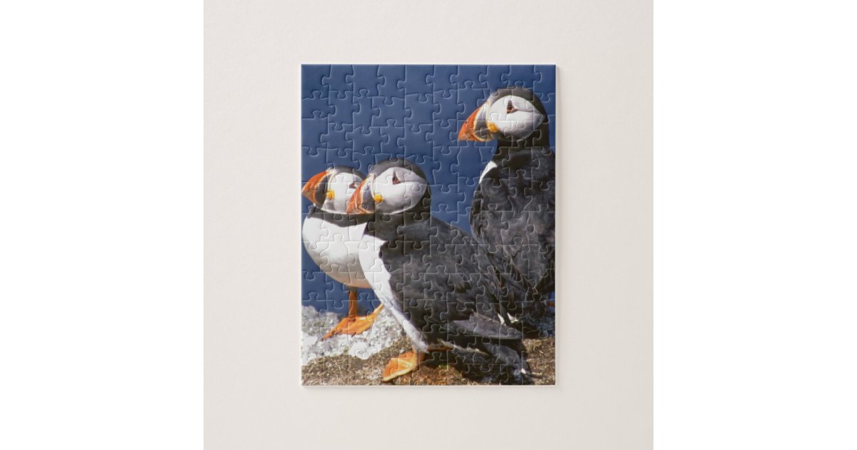 Puffin-tastic Jigsaw Puzzle | Zazzle