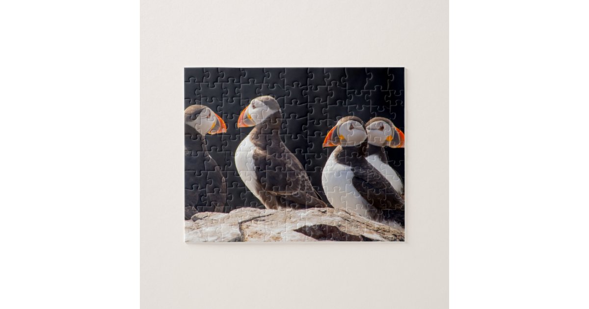 Puffins Jigsaw Puzzle | Zazzle