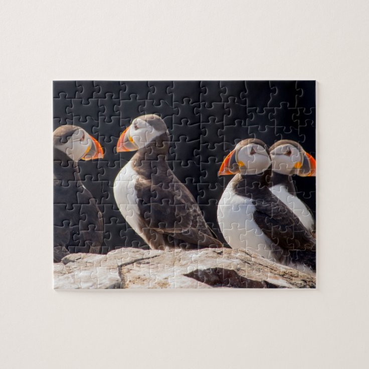 Puffins Jigsaw Puzzle | Zazzle