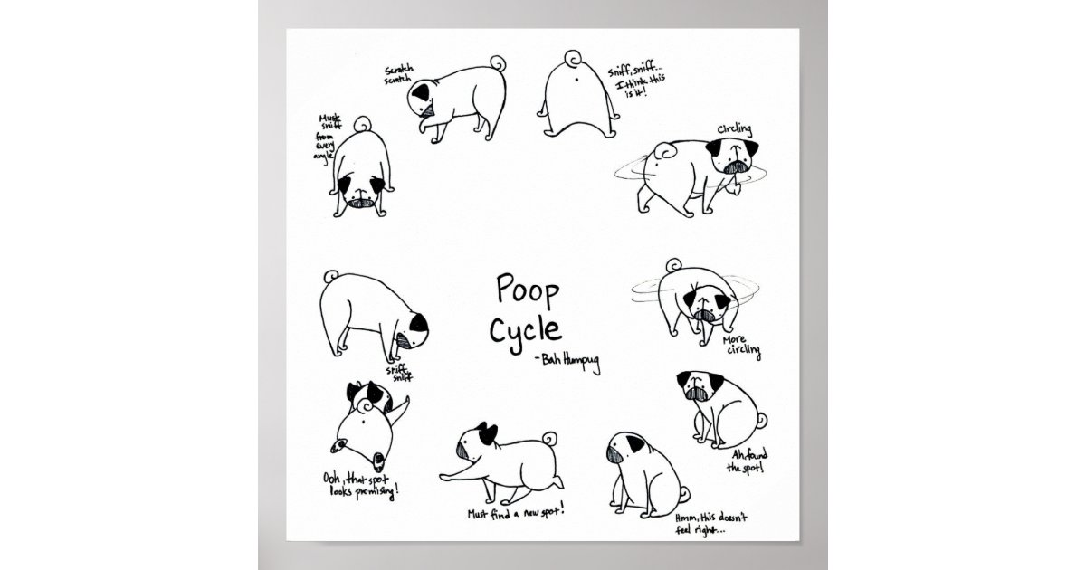 Pug Poop Cycle Poster | Zazzle