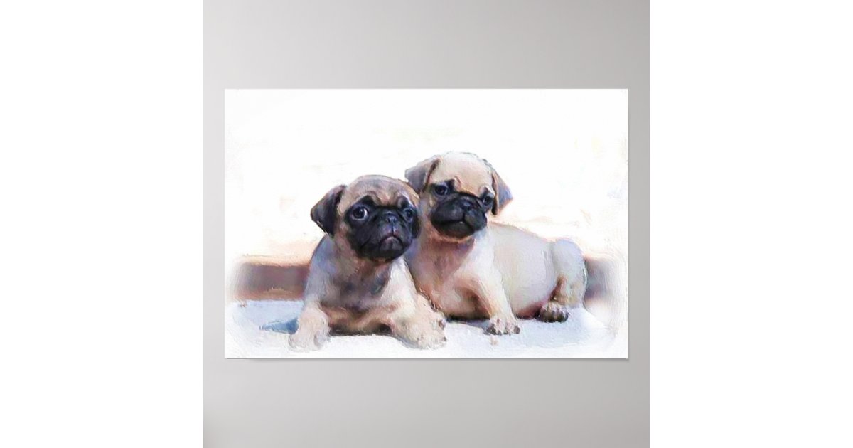 Pug puppies poster | Zazzle