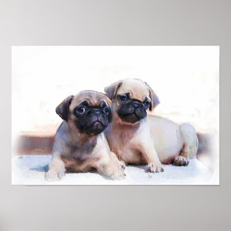 Pug puppies poster | Zazzle