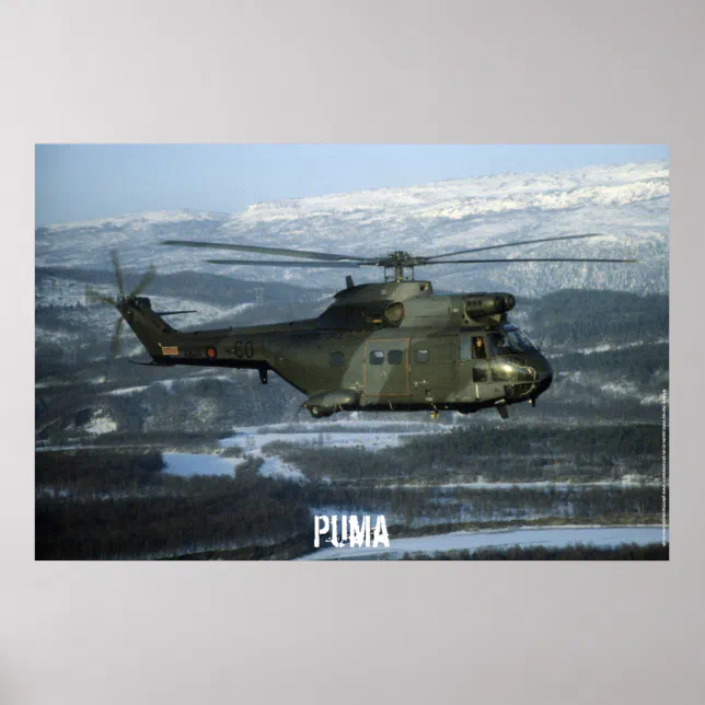 Puma helicopter poster | Zazzle