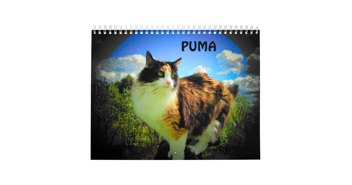 Puma, My Calico, My Supermodel Calendar | Zazzle