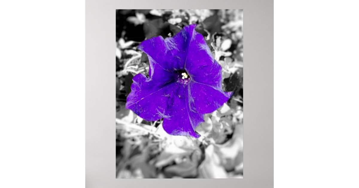 Purple fever poster | Zazzle