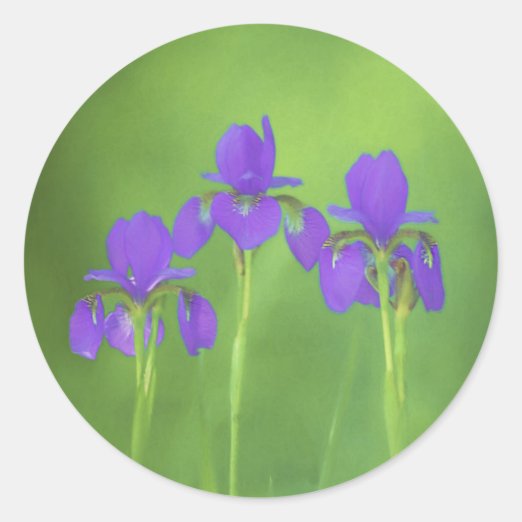 Iris Flower Stickers & Labels | Zazzle UK