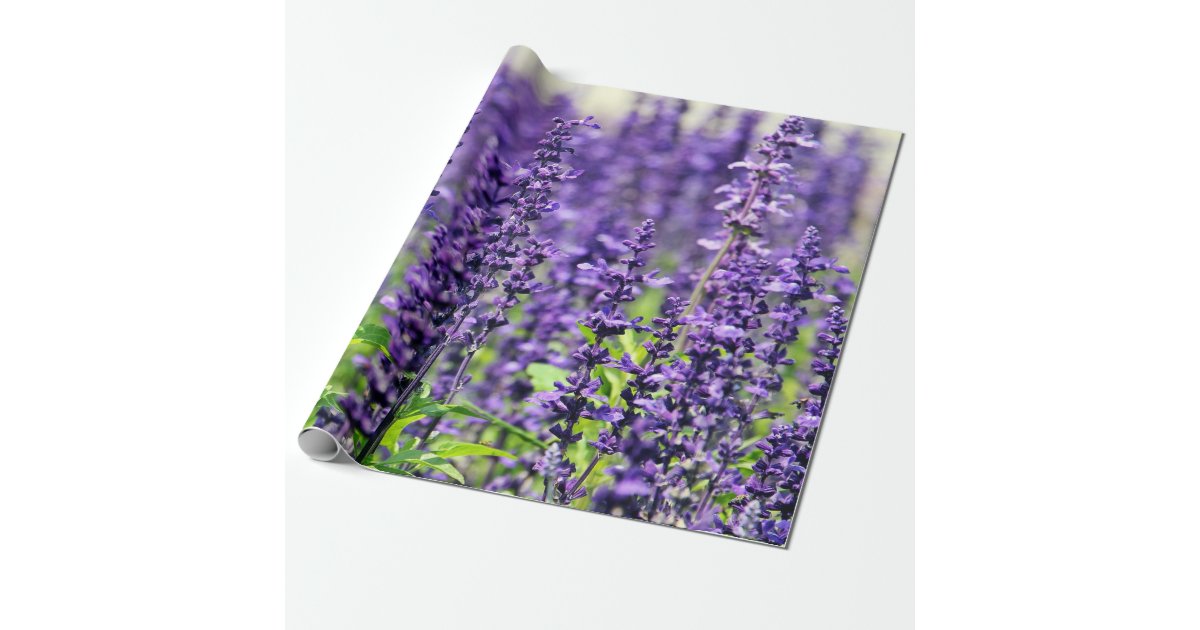 Purple Lavender Flowers Wrapping Paper | Zazzle