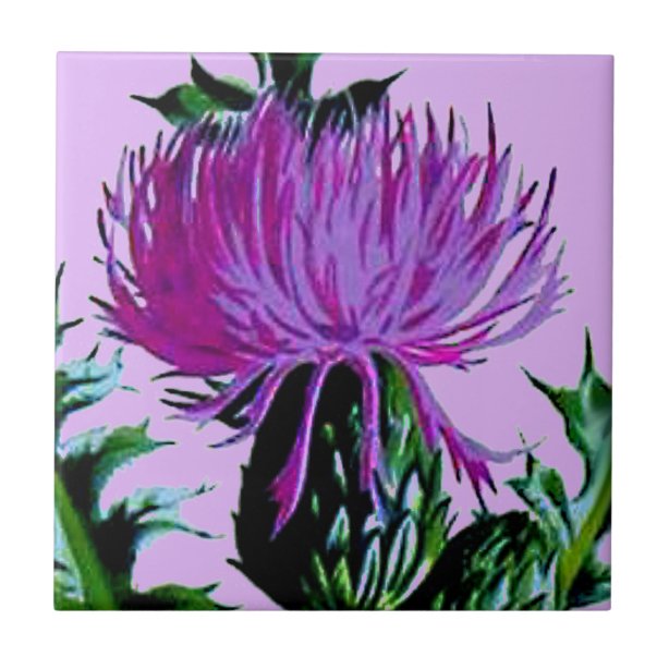 Scottish Thistle Decorative Ceramic Tiles | Zazzle
