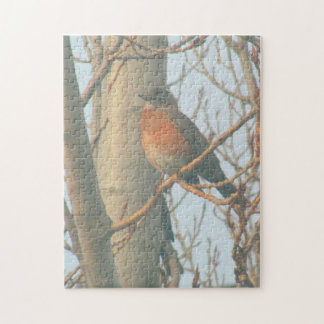 Robin Jigsaw Puzzles | Zazzle.co.uk