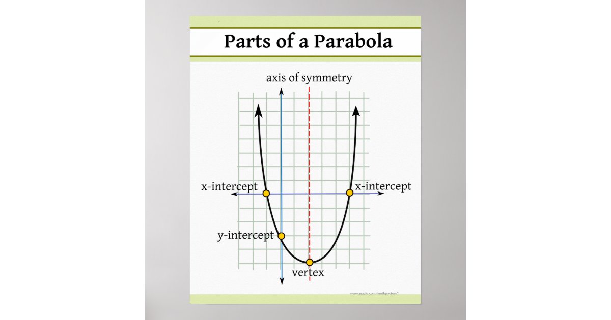 Quadratic Function: Parts of a Parabola Poster | Zazzle