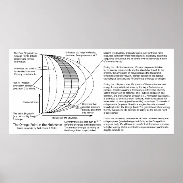 Quantum Mechanics Multiverse Omega Point Diagram Poster | Zazzle
