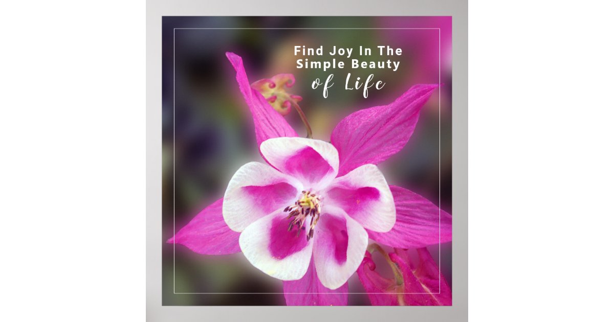 Quote With Columbine Flower Photo Poster | Zazzle