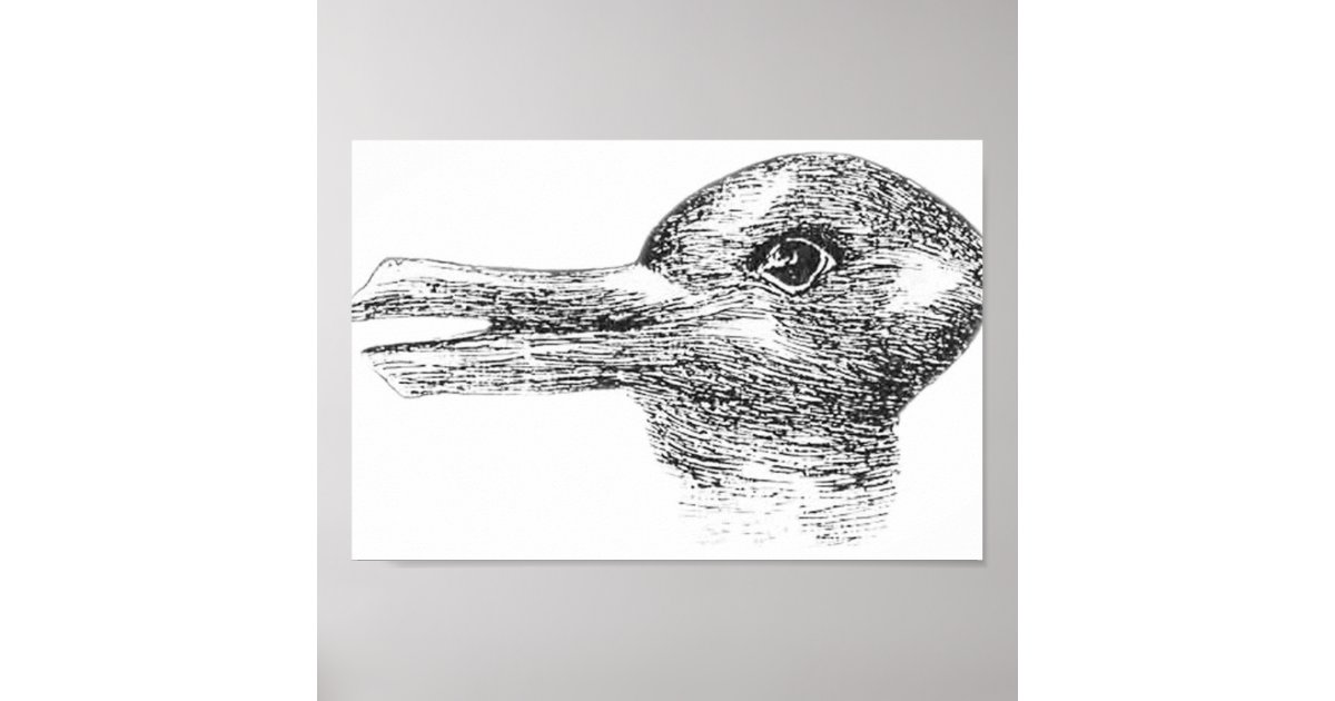 Rabbit Duck illusion Is it a Rabbit or is it a Duc Poster | Zazzle