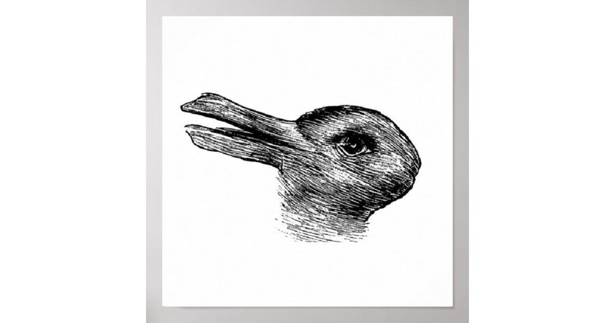 rabbit duck illusion poster | Zazzle