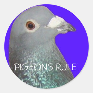 Pigeon Stickers & Labels | Zazzle UK