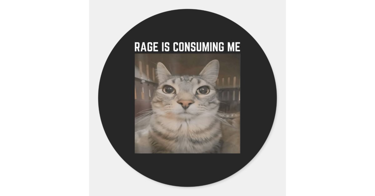 Rage Is Consuming Me Meme Cat Meme Oddly Specific Classic Round Sticker ...