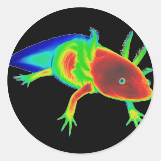Rainbow Axolotl Stickers | Zazzle.co.uk