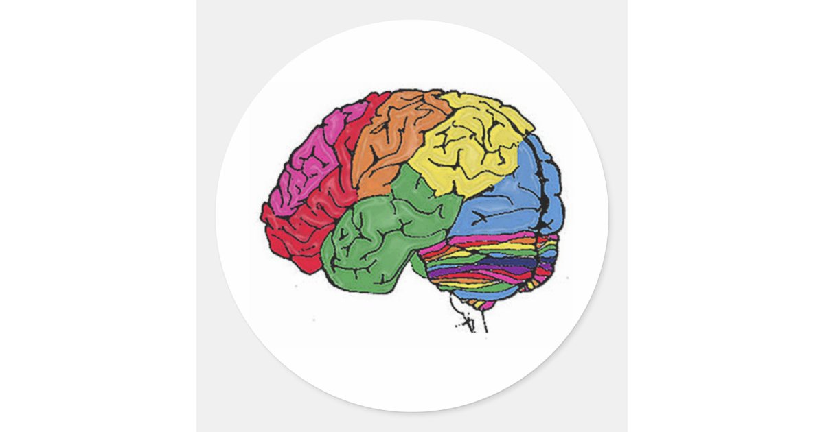 Rainbow Brain Classic Round Sticker | Zazzle